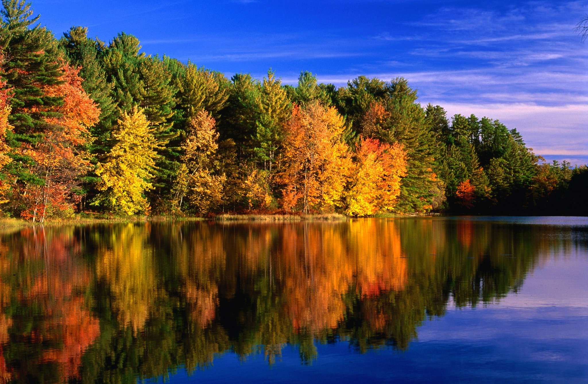 New Hampshire - Opera on Tap